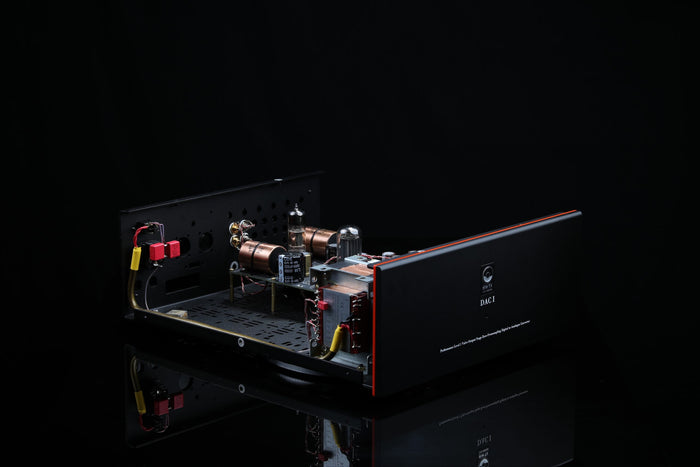 SW1X DAC I SPX - SW1X | Mimic Audio